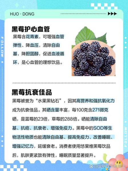 黑莓的功效与作用_黑莓怎么吃效果最好-第1张图片-山城妙识