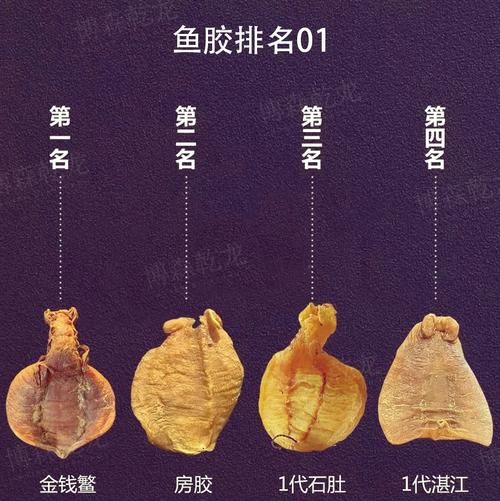鳘鱼鳔的功效与作用_鳘鱼鳔怎么吃最好-第3张图片-山城妙识