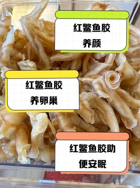 鳘鱼鳔的功效与作用_鳘鱼鳔怎么吃最好-第2张图片-山城妙识