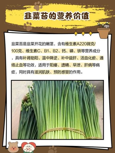 韭菜苔图片怎么挑选_韭菜苔和韭菜的区别-第1张图片-山城妙识 韭菜苔图片怎么挑选_韭菜苔和韭菜的区别-第1张图片-山城妙识