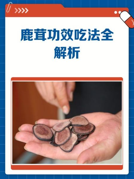 鹿茸片怎么吃壮阳_鹿茸片壮阳吃法多久见效-第2张图片-山城妙识