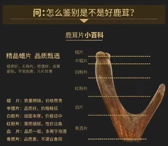 鹿茸片怎么吃壮阳_鹿茸片壮阳吃法多久见效-第1张图片-山城妙识