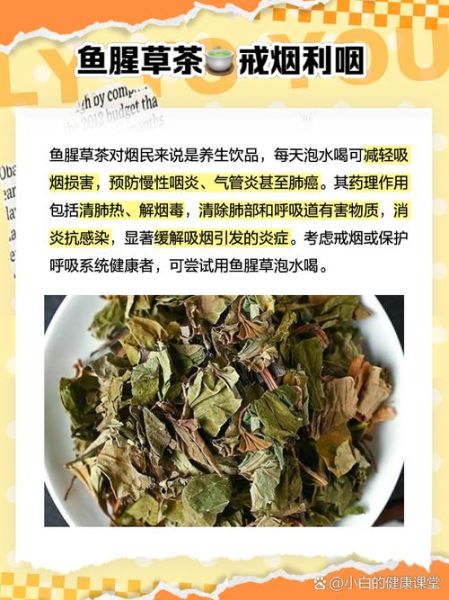鱼腥草怎么吃_鱼腥草的功效与作用-第3张图片-山城妙识