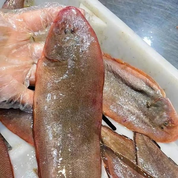 龙利鱼为什么不能吃_龙利鱼吃了有什么危害-第3张图片-山城妙识