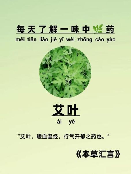 艾叶的功效与作用_艾叶怎么用效果最好-第1张图片-山城妙识