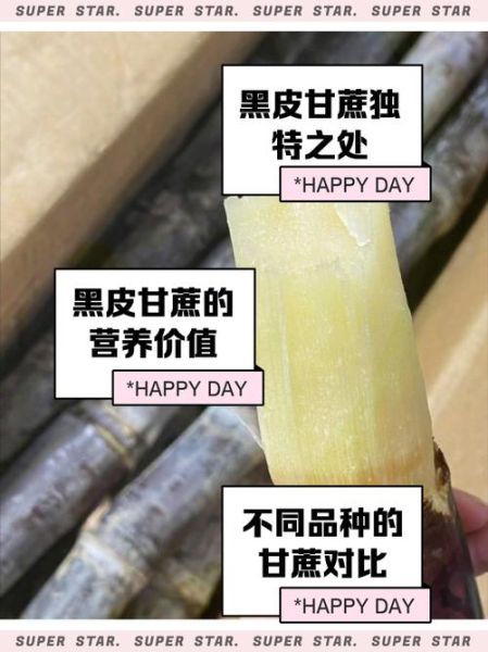 黑皮甘蔗上火吗_黑皮甘蔗吃了会上火吗-第1张图片-山城妙识
