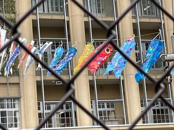 鲤鱼旗代表什么_鲤鱼旗的由来-第1张图片-山城妙识