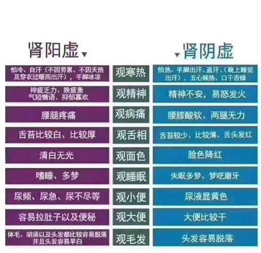飞机打多了是肾阴虚还是肾阳虚_如何分辨与调理-第1张图片-山城妙识
