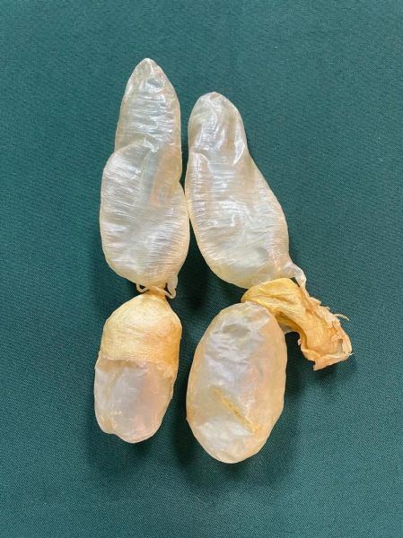 鱼鳔价格多少钱一斤_鱼鳔怎么挑选才划算-第3张图片-山城妙识