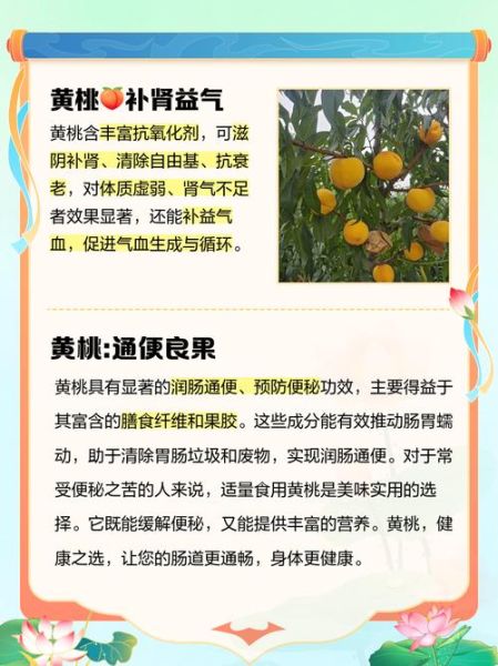 黄桃的功效与作用禁忌_孕妇能吃吗-第1张图片-山城妙识