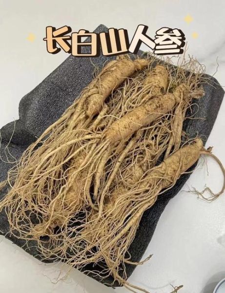 鲜人参怎么吃_鲜人参的吃法与禁忌-第3张图片-山城妙识