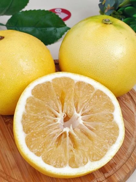 葡萄柚的功效与作用_葡萄柚怎么吃减肥最快-第2张图片-山城妙识 葡萄柚的功效与作用_葡萄柚怎么吃减肥最快-第2张图片-山城妙识