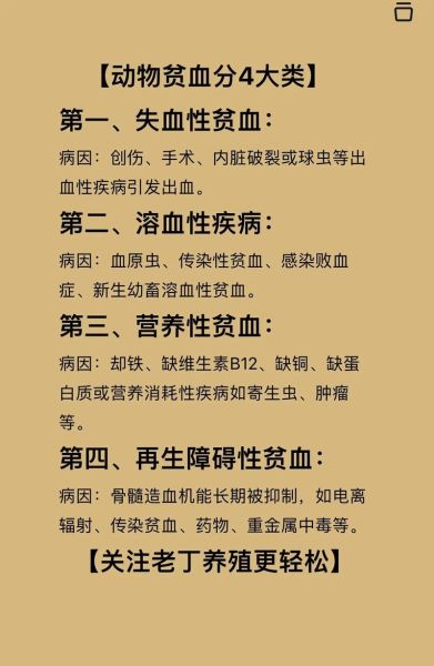 贫血的危害有哪些_贫血对身体的影响-第3张图片-山城妙识