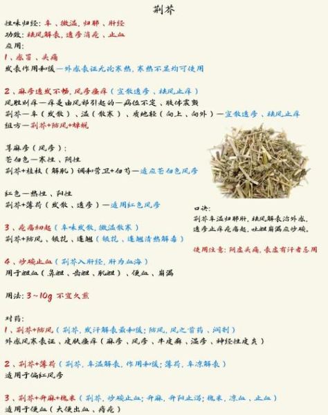 荆芥的功效与作用_荆芥怎么吃效果最好-第2张图片-山城妙识 荆芥的功效与作用_荆芥怎么吃效果最好-第2张图片-山城妙识