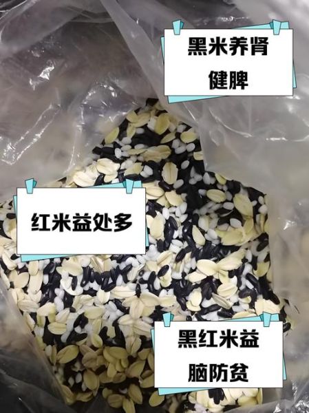 黑米红米哪个更补血_黑米红米功效区别-第1张图片-山城妙识 黑米红米哪个更补血_黑米红米功效区别-第1张图片-山城妙识