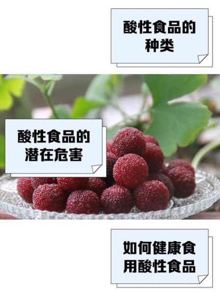 酸性食物有哪些_酸性食物吃多了会怎样-第3张图片-山城妙识 酸性食物有哪些_酸性食物吃多了会怎样-第3张图片-山城妙识