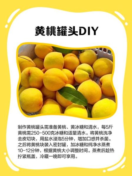 黄桃罐头怎么做_黄桃罐头能保存多久-第2张图片-山城妙识 黄桃罐头怎么做_黄桃罐头能保存多久-第2张图片-山城妙识