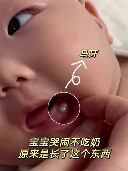 马牙豆是什么_马牙豆怎么吃-第3张图片-山城妙识 马牙豆是什么_马牙豆怎么吃-第3张图片-山城妙识