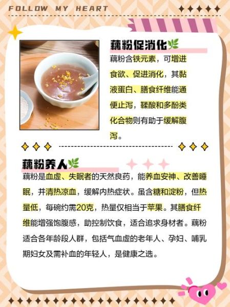 藕粉的功效与作用_藕粉怎么吃最养胃-第1张图片-山城妙识 藕粉的功效与作用_藕粉怎么吃最养胃-第1张图片-山城妙识