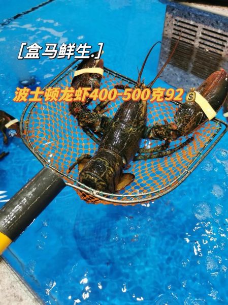 龙虾多少钱一斤_2024最新价格行情-第3张图片-山城妙识