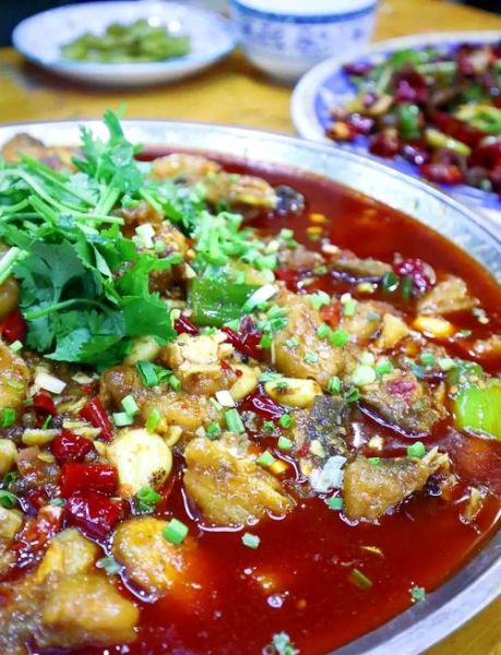 鲢鱼吃什么食物_鲢鱼最爱吃什么饵料-第1张图片-山城妙识