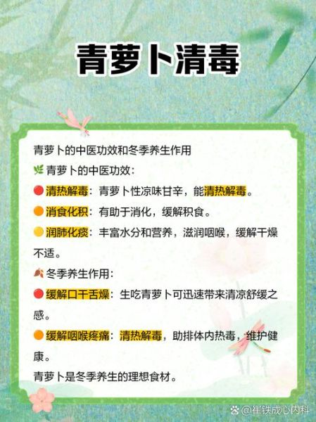 生吃青萝卜能减肥吗_生吃青萝卜的功效与作用-第1张图片-山城妙识