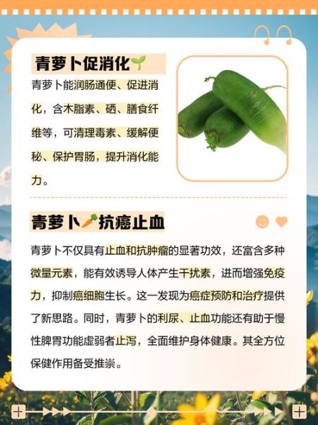 生吃青萝卜能减肥吗_生吃青萝卜的功效与作用-第2张图片-山城妙识