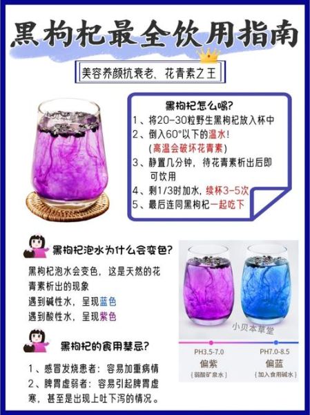 黑枸杞的功效与作用及食用方法_黑枸杞的禁忌有哪些-第3张图片-山城妙识