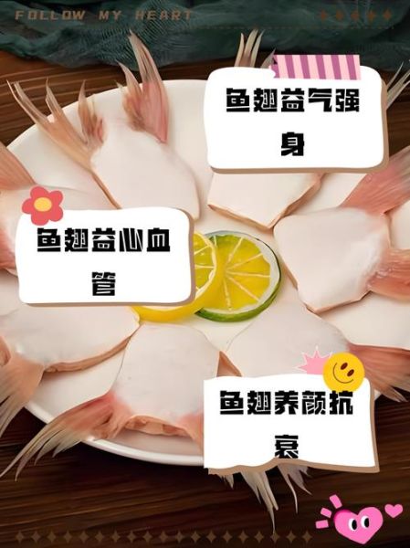 鱼翅的营养价值及功效与作用_鱼翅吃了有什么好处-第3张图片-山城妙识