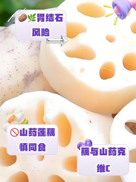 藕和什么一起吃会中毒_哪些食物与藕相克-第2张图片-山城妙识