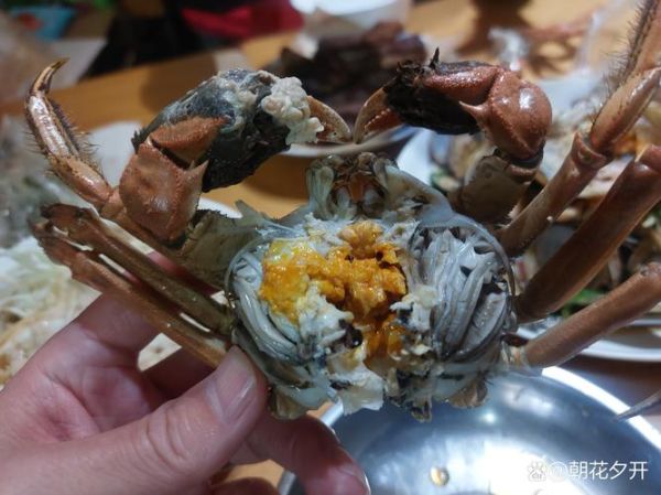 螃蟹买回来一晚上全死了_还能吃吗-第2张图片-山城妙识