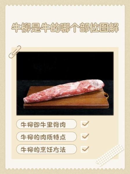 牛柳是牛的哪个部位_牛柳和里脊的区别-第3张图片-山城妙识