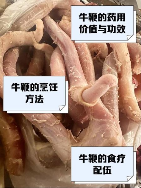 牛鞭和牛蛋哪个功效好_男人补肾吃哪个更管用-第2张图片-山城妙识