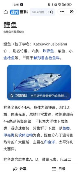 鲣怎么读_鲣鱼是什么鱼-第1张图片-山城妙识