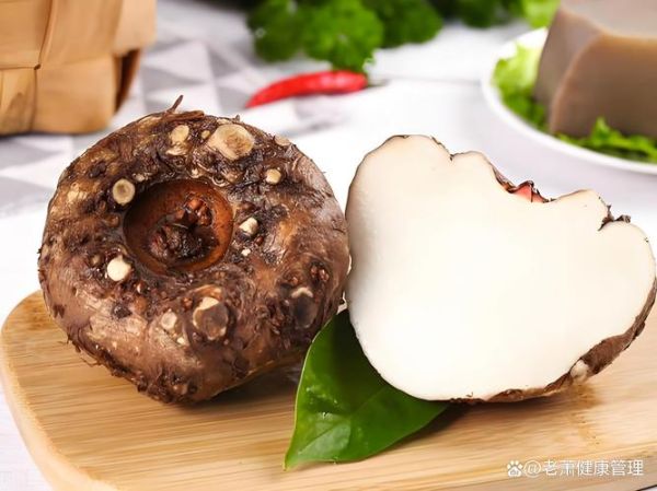 魔芋长什么样_魔芋图片真实样子-第2张图片-山城妙识