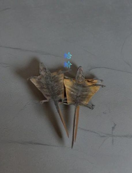 蛤蚧为什么一对买_蛤蚧一对购买原因-第3张图片-山城妙识