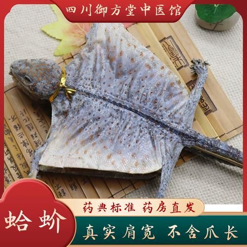 蛤蚧为什么一对买_蛤蚧一对购买原因-第2张图片-山城妙识