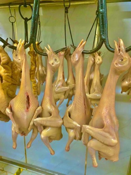 红烧乳鸽脆皮水怎么调_红烧乳鸽脆皮水最佳配方-第3张图片-山城妙识