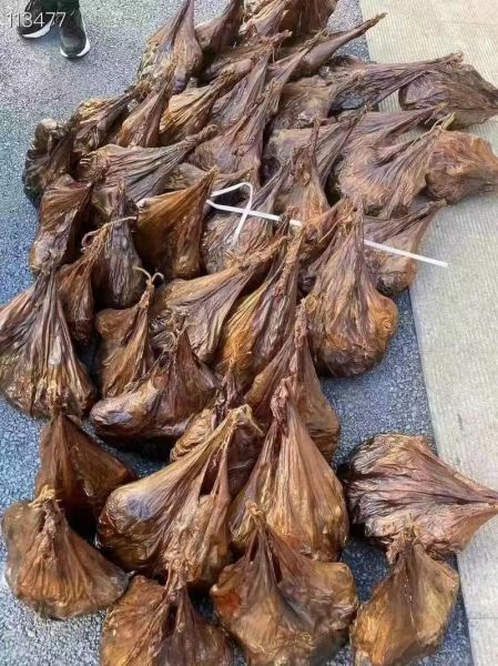 鹿胎粉的功效与作用_鹿胎粉适合什么人吃-第2张图片-山城妙识