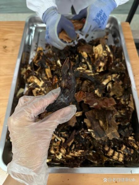 鹿胎粉的功效与作用_鹿胎粉适合什么人吃-第1张图片-山城妙识