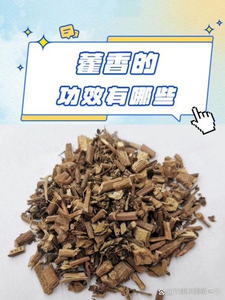 藿香的作用与功效_藿香能治哪些病-第2张图片-山城妙识