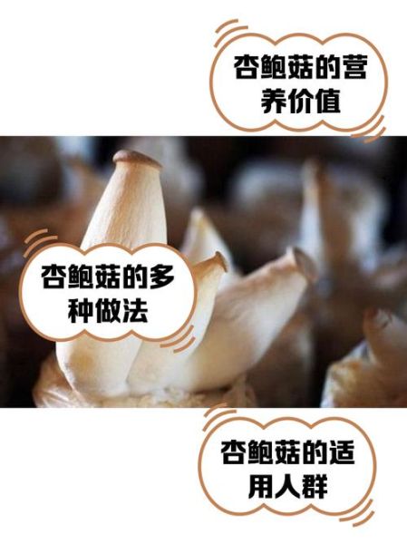 阿魏菇和杏鲍菇的区别_哪个更营养-第1张图片-山城妙识