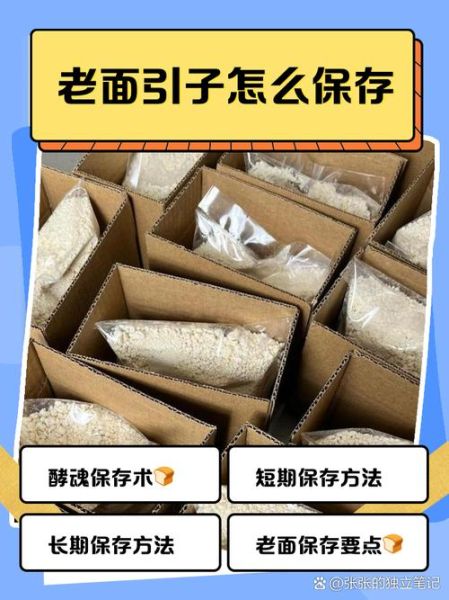 老面引子怎么做_老面引子保存多久-第1张图片-山城妙识