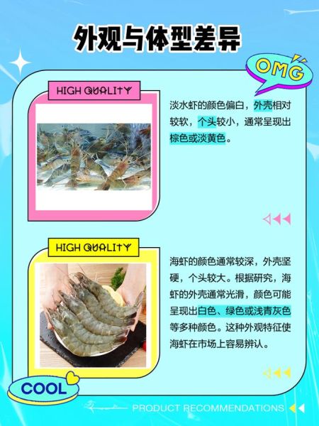 盐水虾是什么虾_盐水虾和普通虾区别-第1张图片-山城妙识