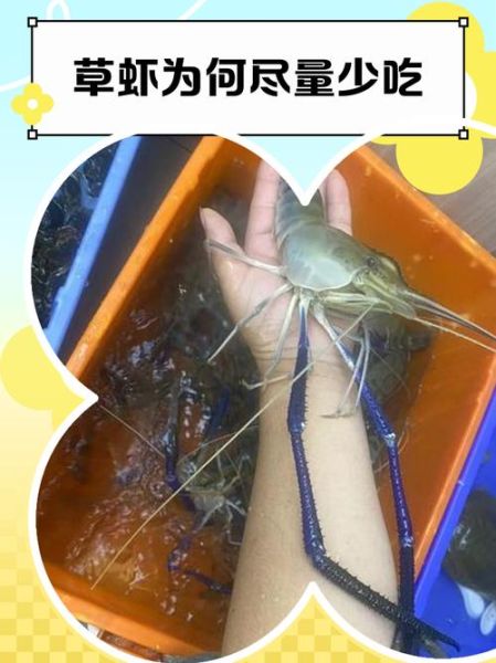 草虾图片怎么区分_草虾和基围虾的区别-第1张图片-山城妙识