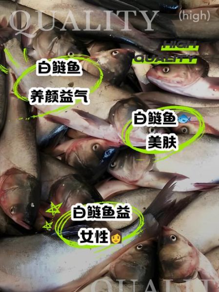 白鲢鱼的营养价值及功效与作用_白鲢鱼适合什么人吃-第3张图片-山城妙识
