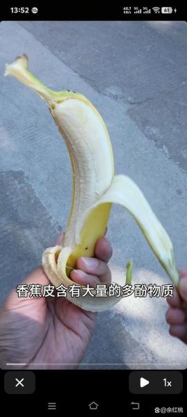 香蕉皮的营养价值_香蕉皮能吃吗-第2张图片-山城妙识