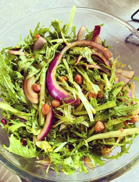 苦菊怎么凉拌不苦_苦菊凉拌不苦的做法-第1张图片-山城妙识 苦菊怎么凉拌不苦_苦菊凉拌不苦的做法-第1张图片-山城妙识