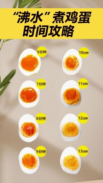 鹌鹑蛋煮几分钟能熟_鹌鹑蛋要煮多久才熟-第1张图片-山城妙识 鹌鹑蛋煮几分钟能熟_鹌鹑蛋要煮多久才熟-第1张图片-山城妙识