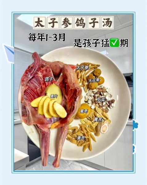 鸽子汤怎么炖适合小孩_小孩喝鸽子汤的做法-第3张图片-山城妙识 鸽子汤怎么炖适合小孩_小孩喝鸽子汤的做法-第3张图片-山城妙识